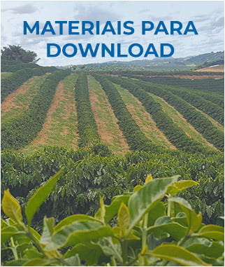 Florescimento da cultura da soja: entenda a Importância - Stoller